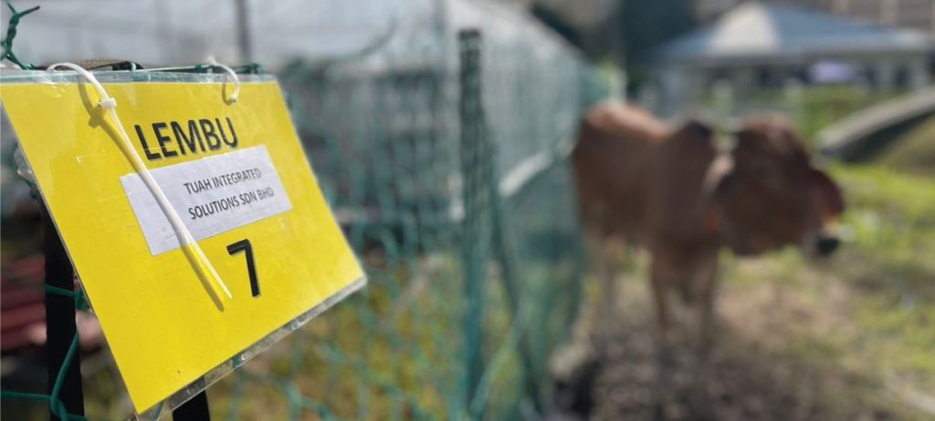 Ibadah Qurban Programme Hari Raya Aidiladha 2023 Tuah